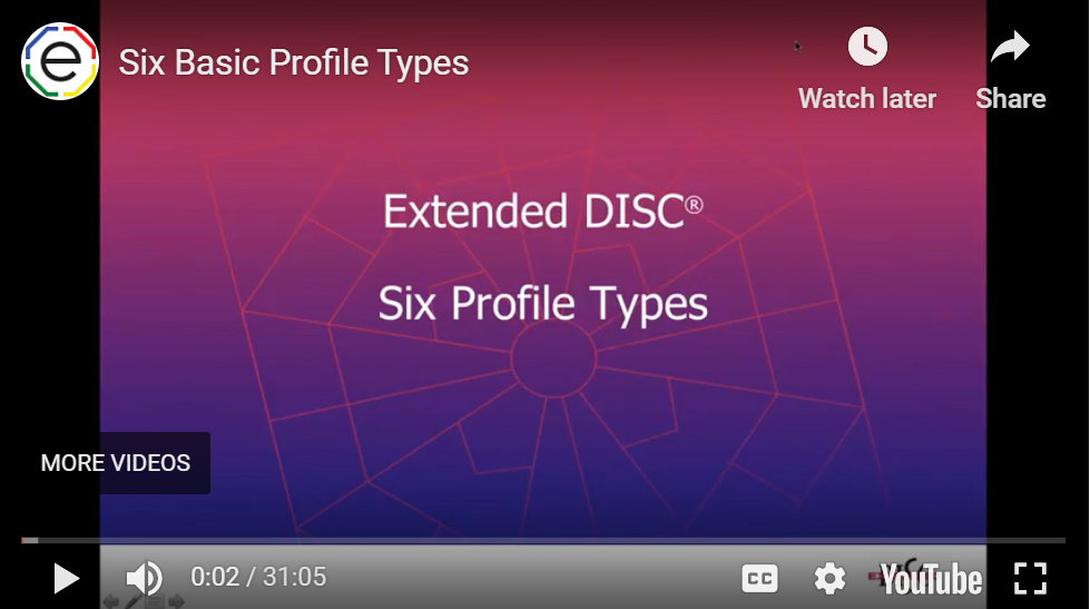 Basic Profile Types to Better Understand DISC Styles